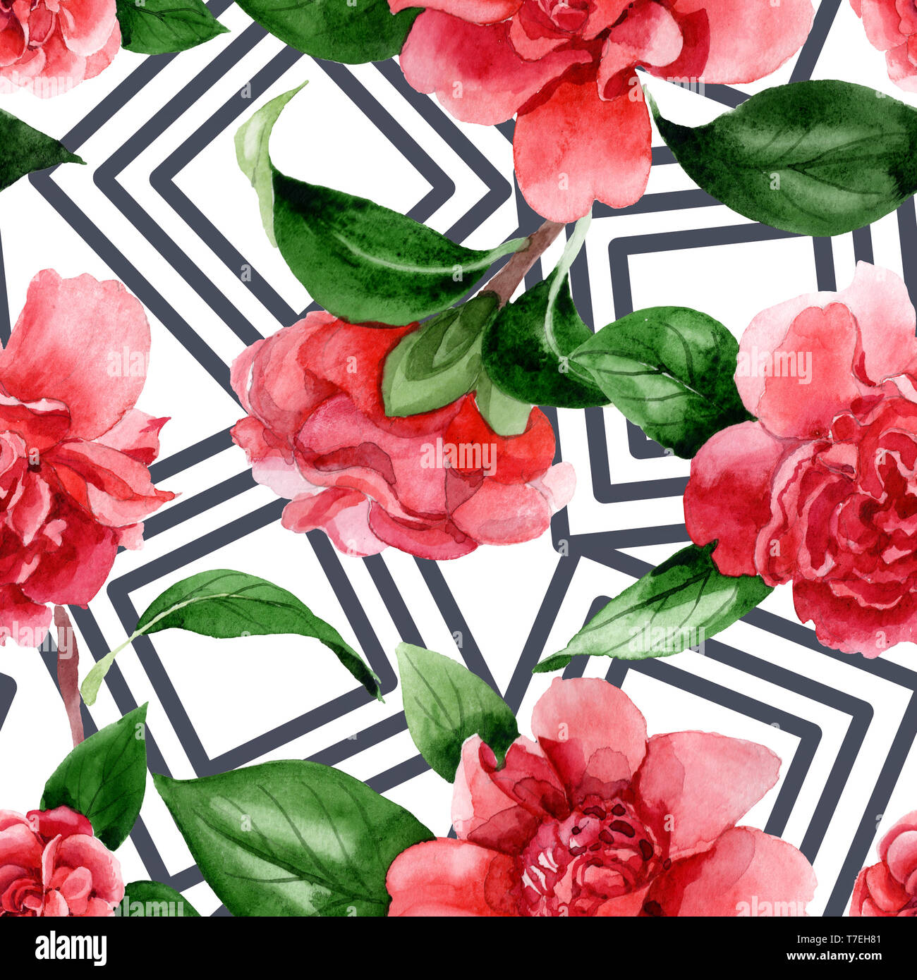 Pink camelia floral botanical flowers. Wild spring leaf wildflower ...