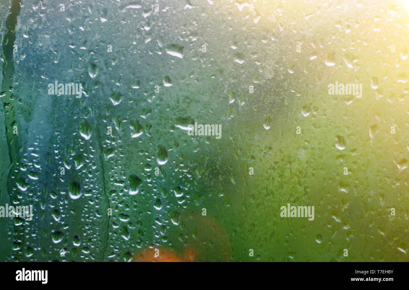 Natural rain drops on window glass. Green trees and sun light ...