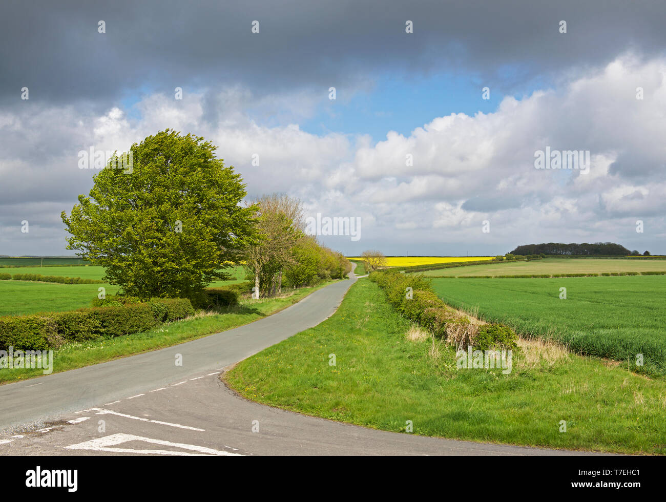 Road junction in the Yorkshire Wolds, near Huggate, East Yorkshire ...