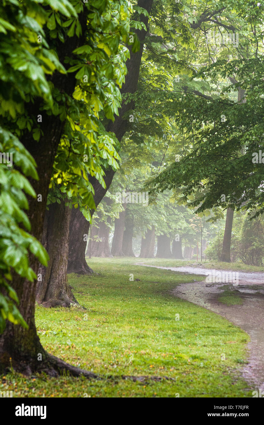 Rainy urban landscape hi-res stock photography and images - Alamy