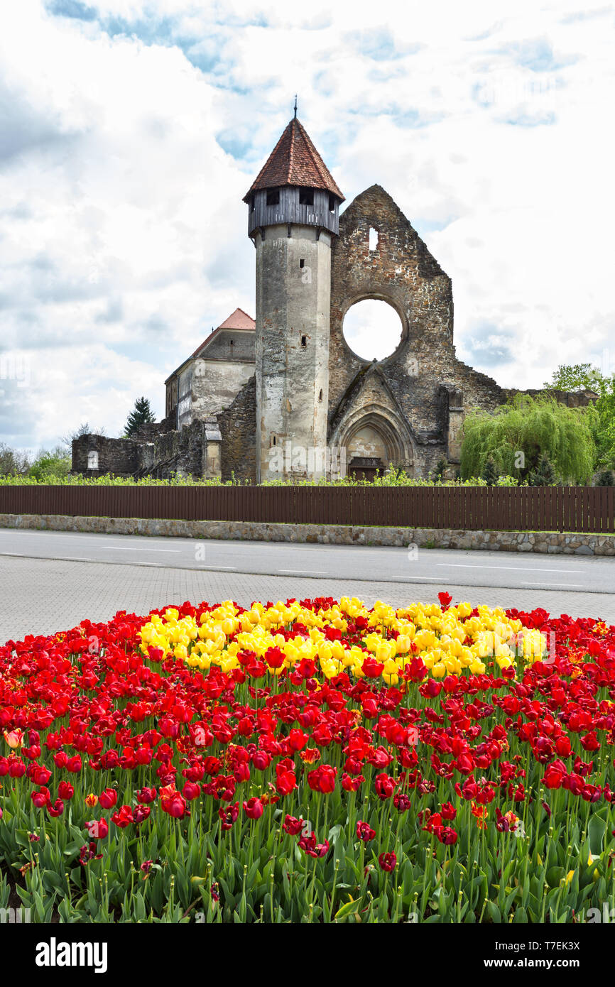 Cistercian order monastery abandoned in Carta, Sibiu county, in Romania ...