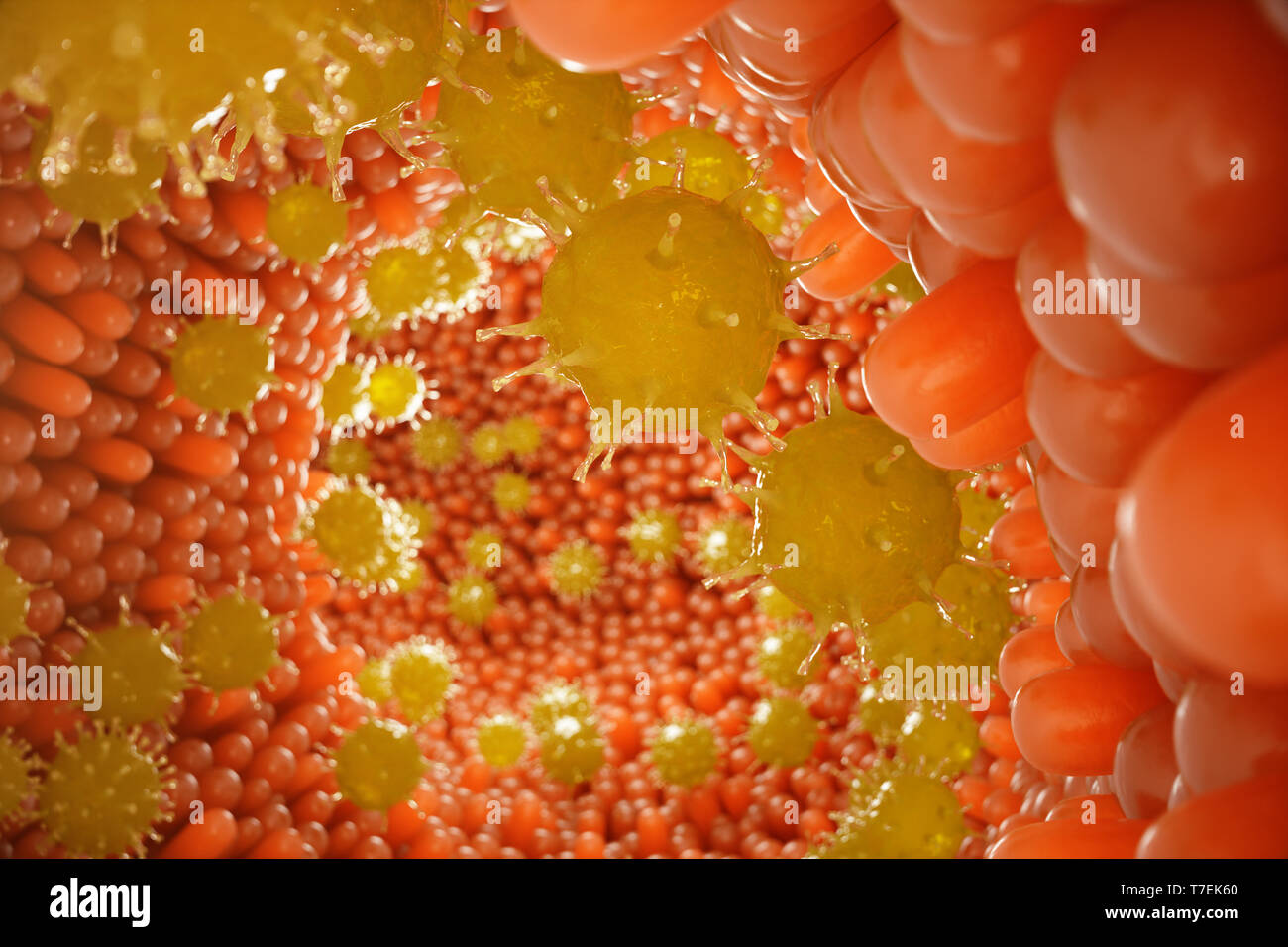 Intestinal villi, mucosa intestinal. Bacteria and microbes in ...