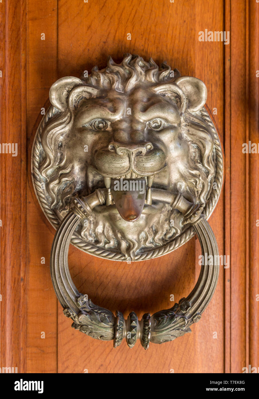 Bronze head classical hi-res stock photography and images - Alamy