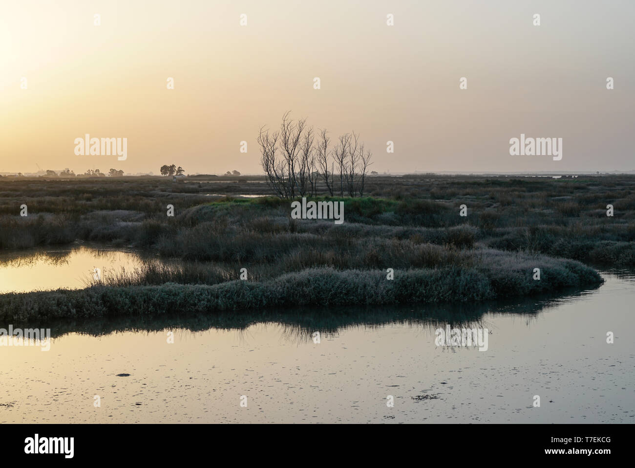 Esgueira hi-res stock photography and images - Alamy