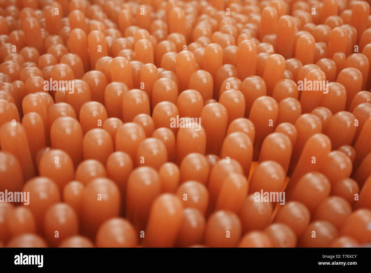 3D Rendering close-up Intestinal villi. Intestine lining. Microscopic ...