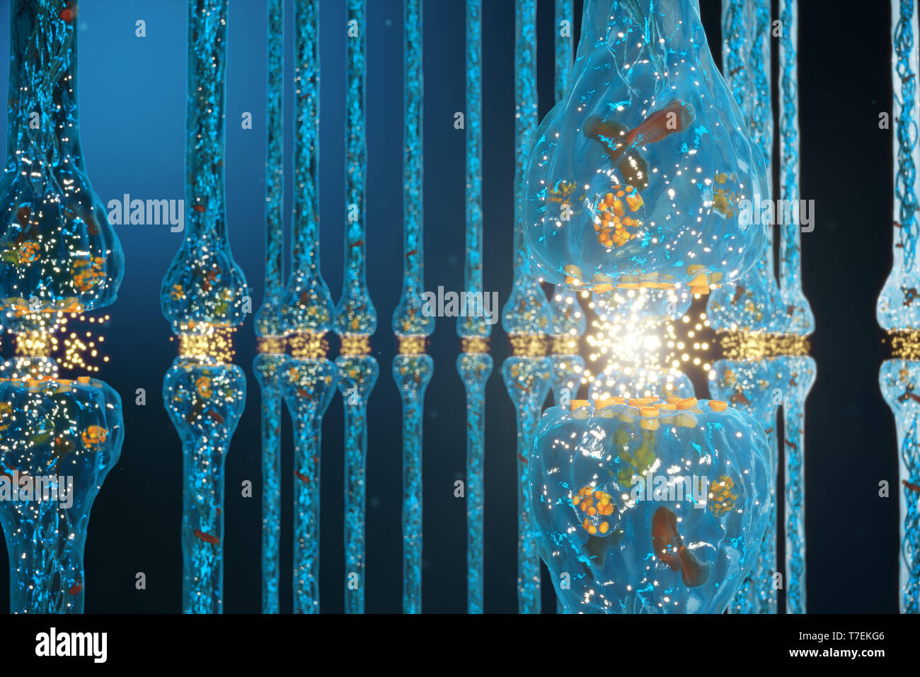 Synaptic transmission, human nervous system. Concept consciousness ...