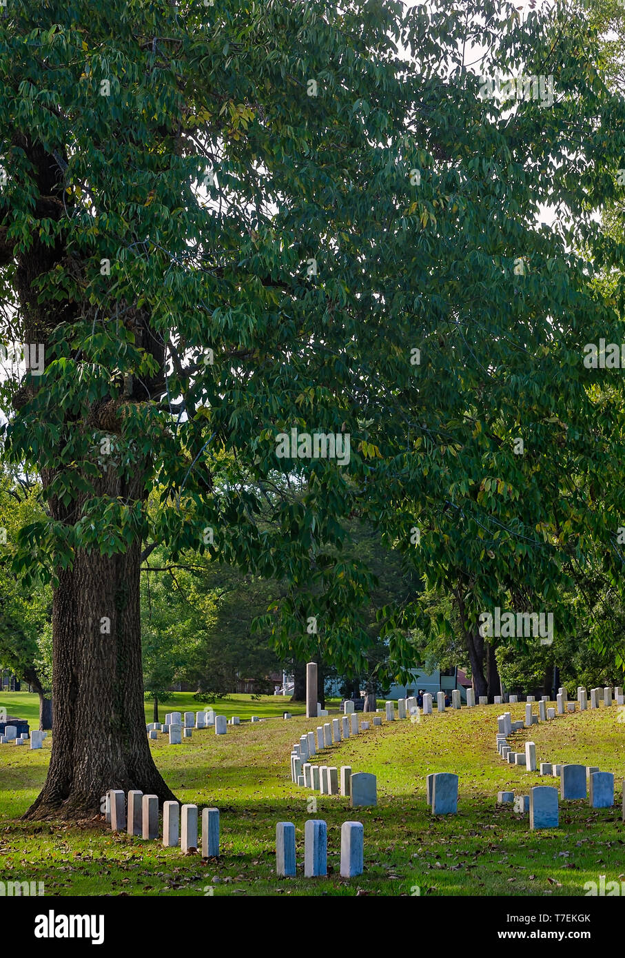 American civil war battle of shiloh hi-res stock photography and images ...
