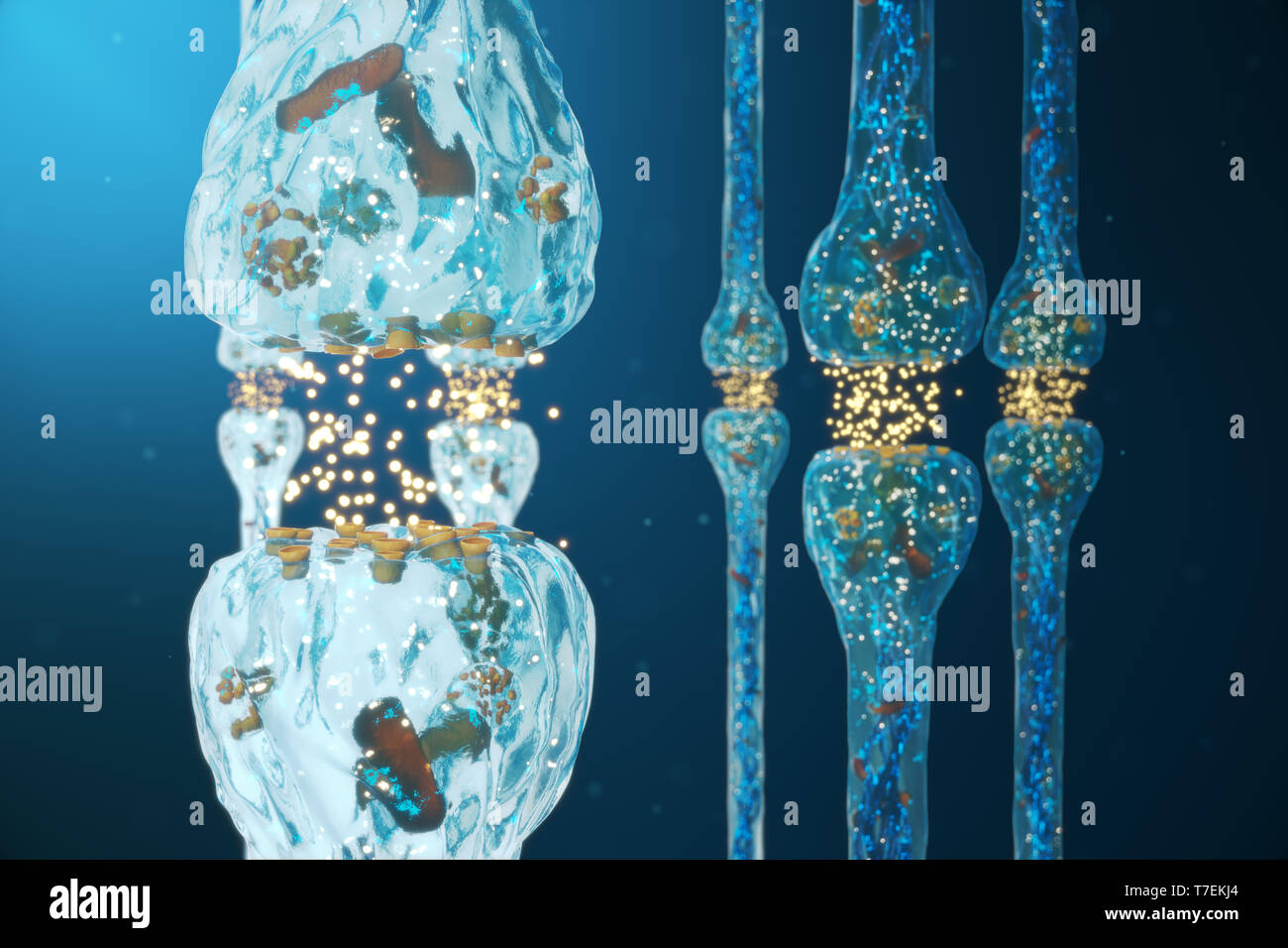 Synaptic transmission, human nervous system. Concept consciousness ...