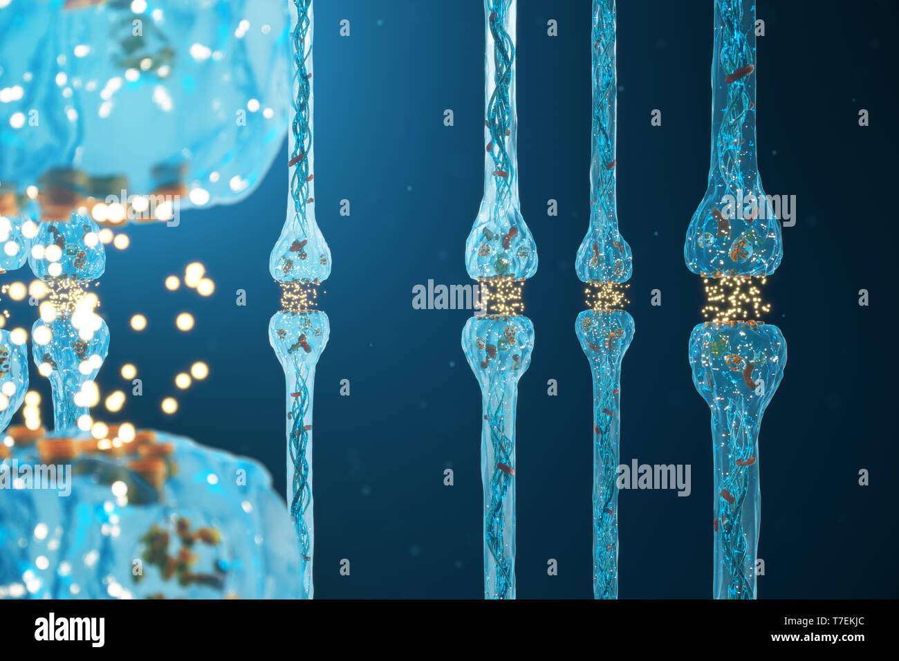 Synaptic transmission, human nervous system. Concept consciousness ...