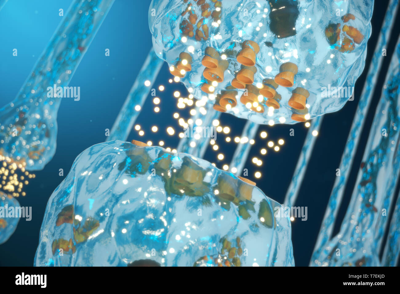 Consciousness transfer hi-res stock photography and images - Alamy