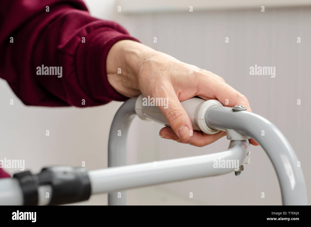 Hands of a senior woman on the handles of a walker. Rehabilitation and ...