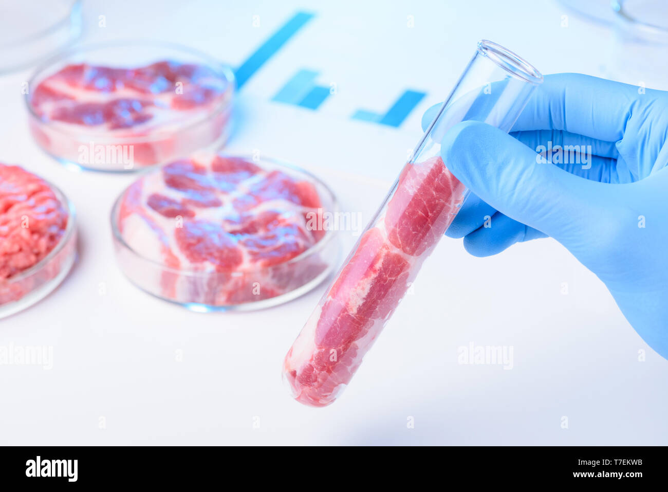 Meat sample in test tube. Lab meat or quality inspection concept Stock ...