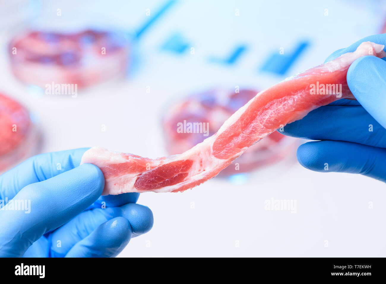 Meat inspection hi-res stock photography and images - Alamy