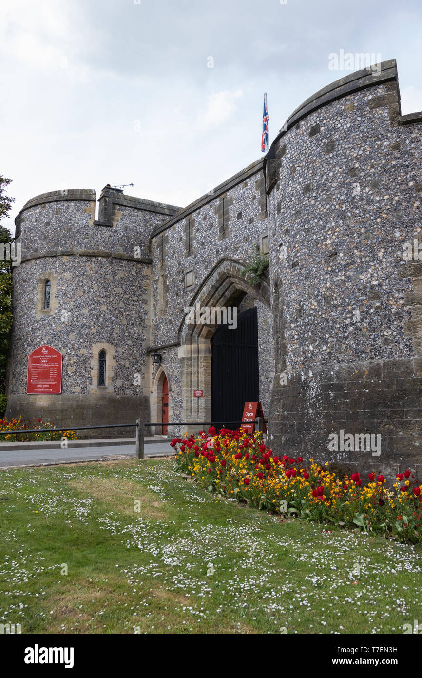 Arundel castle Entrance surrounded by Tulips Stock Photo - Alamy