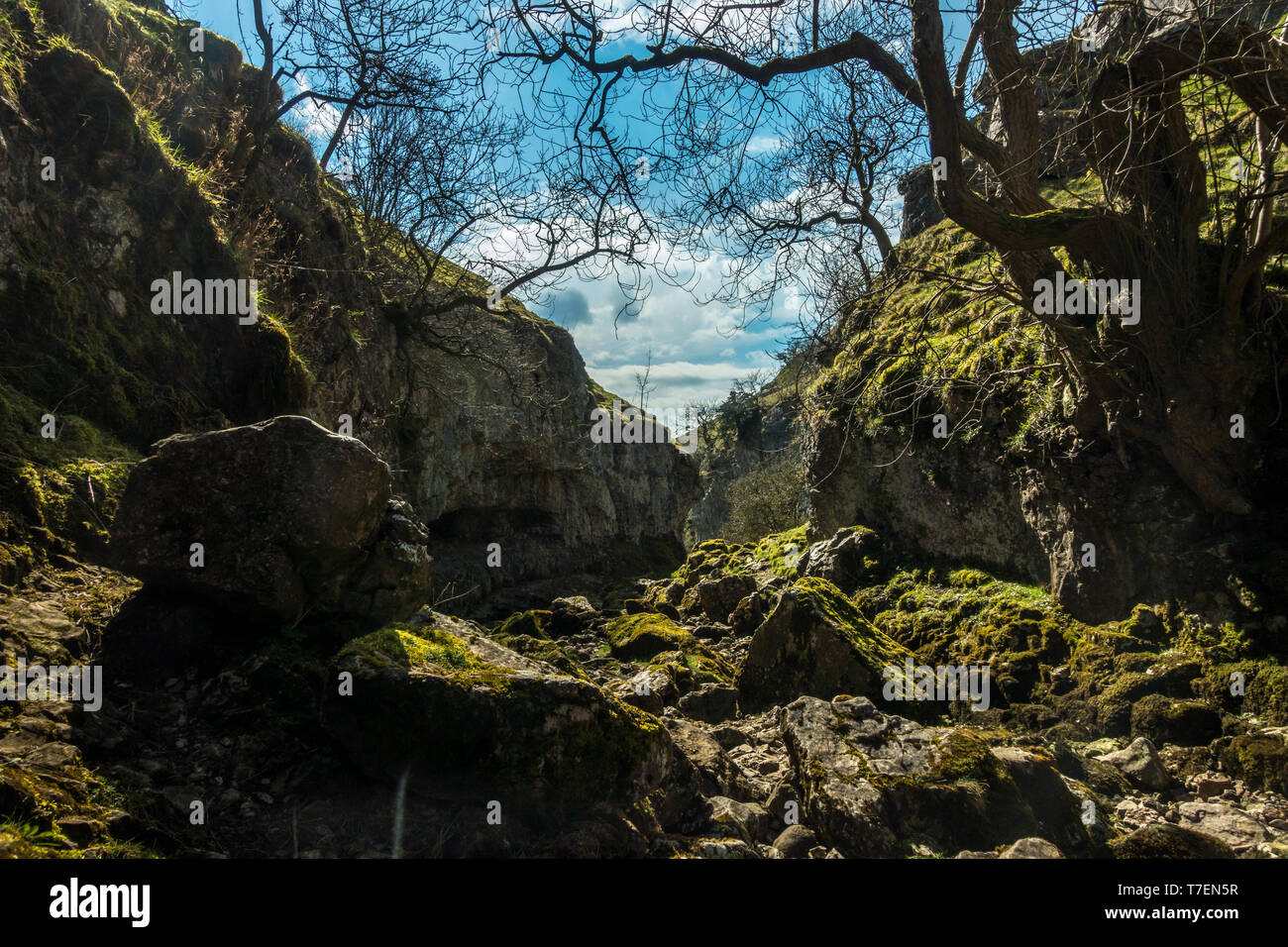 Views of the walk through Troller's Gill near Appletreewick, Yorkshire ...