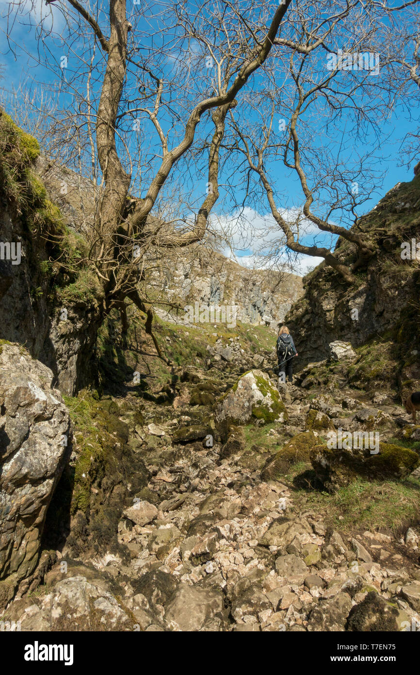 Views of a walker and dog in Trollerdale from the path in Troller's ...