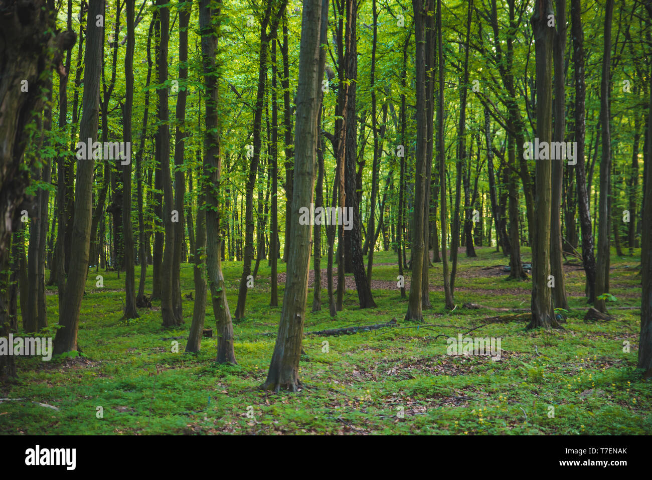 Place without anyone hi-res stock photography and images - Alamy