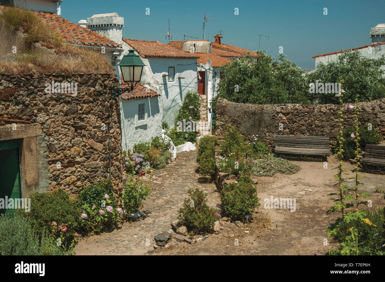 Facade of old houses with whitewashed wall in alley with flower bed at ...