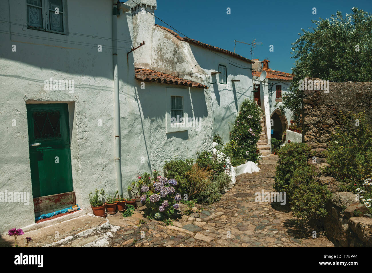 Facade of old houses with whitewashed wall in alley with flower bed at ...