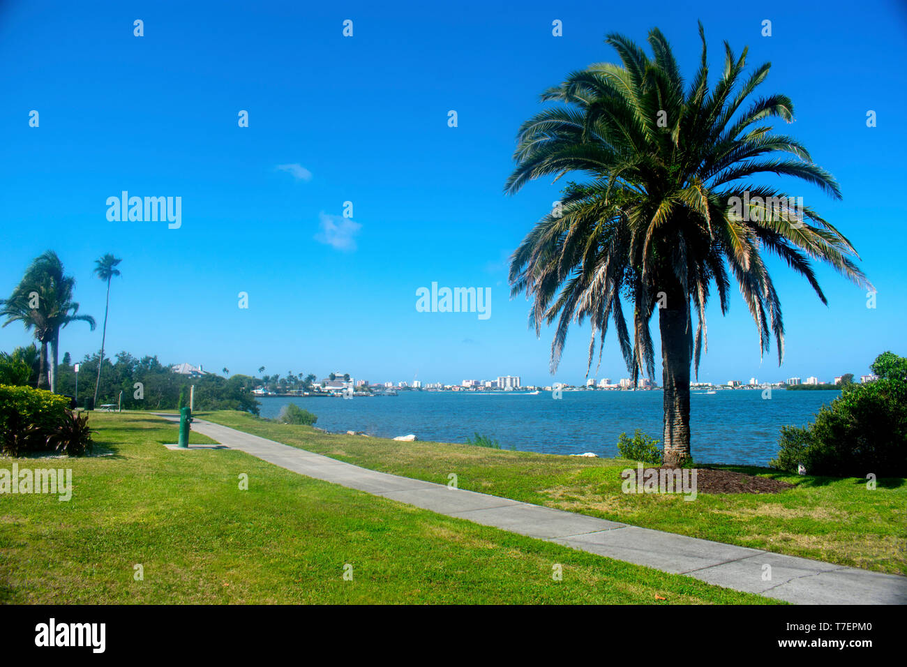 Views of Clearwater Harbor from Clearwater, Florida, USA, flanked by ...