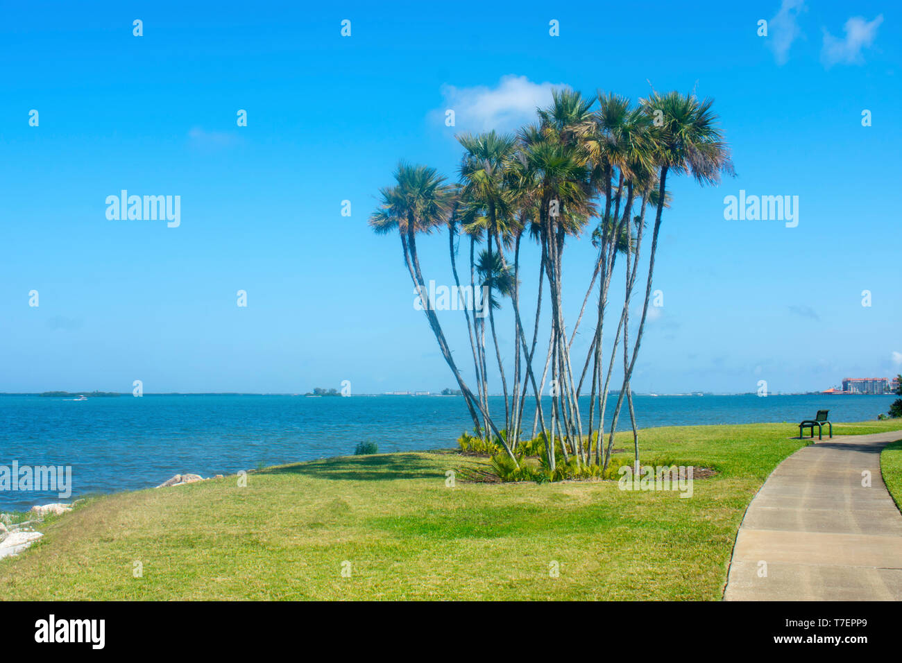 Views of Clearwater Harbor from Clearwater, Florida, USA, flanked by ...