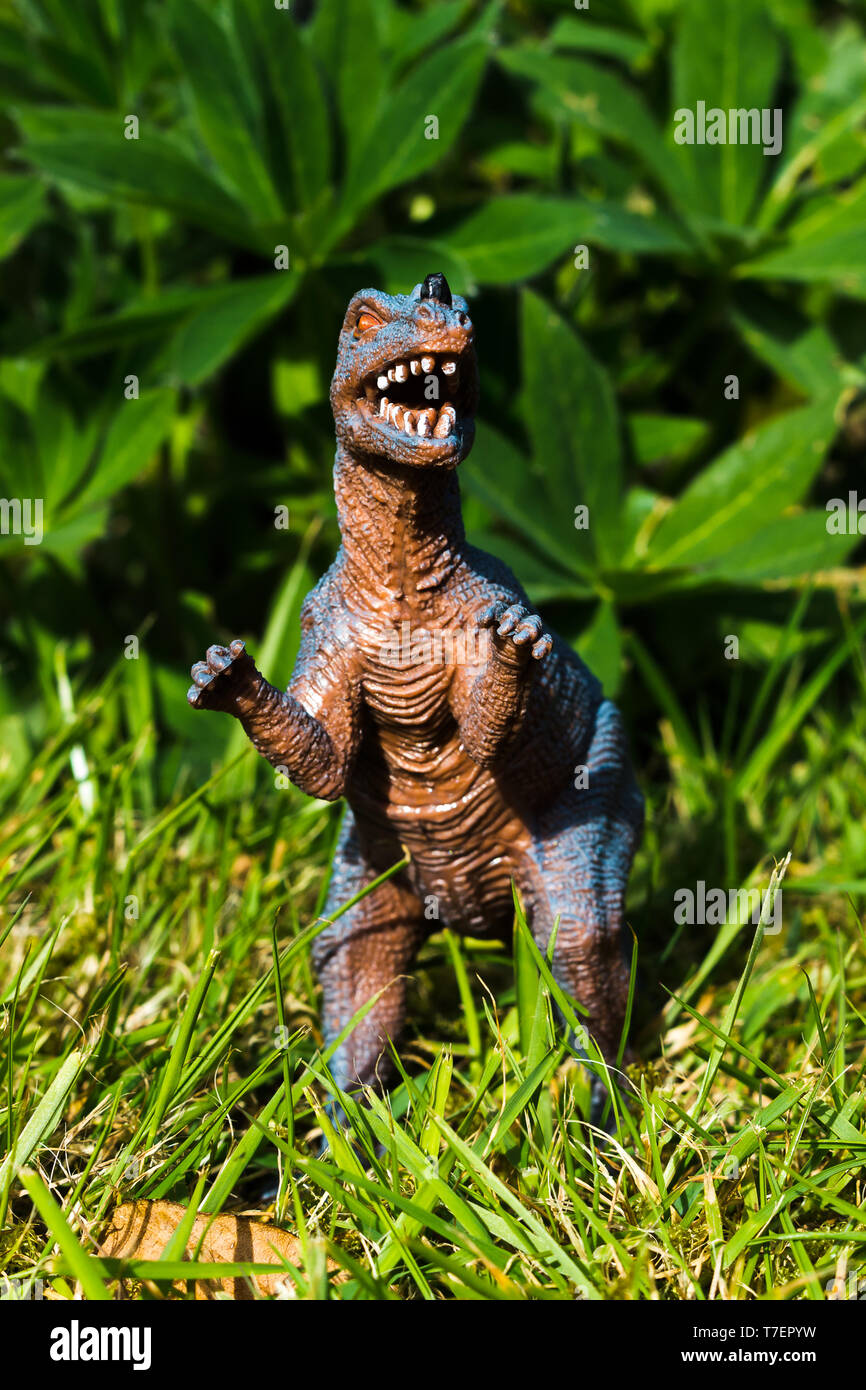 Toy dinosaur set up in garden.stand Stock Photo - Alamy