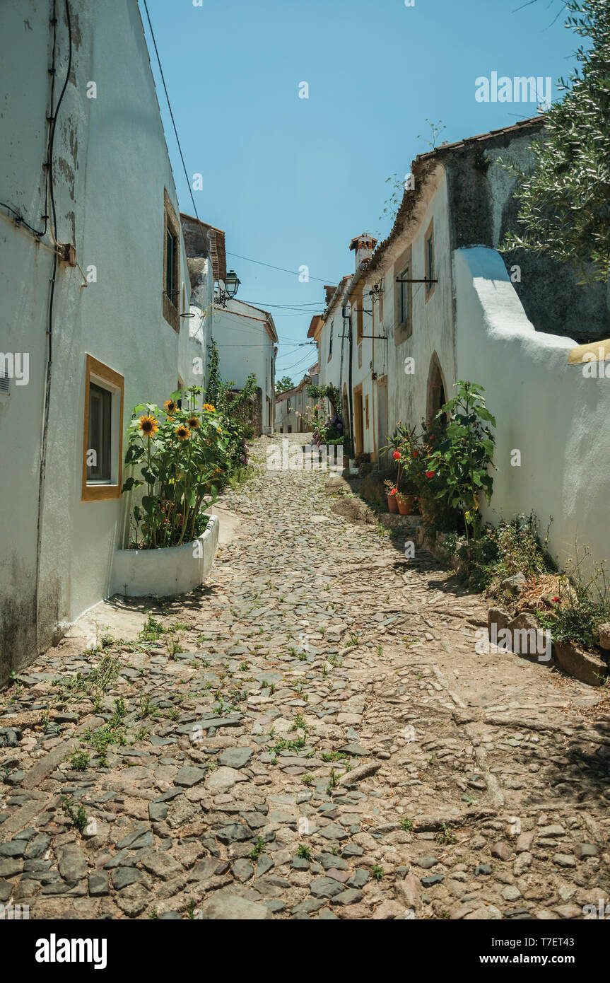 Old whitewashed houses and flowered pots on cobblestone alley at ...