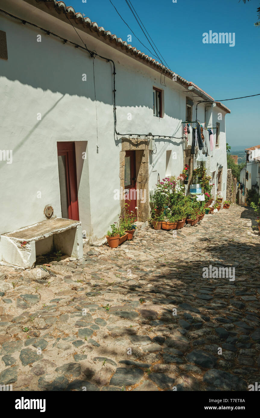 Old whitewashed houses and flowered pots on cobblestone alley at ...