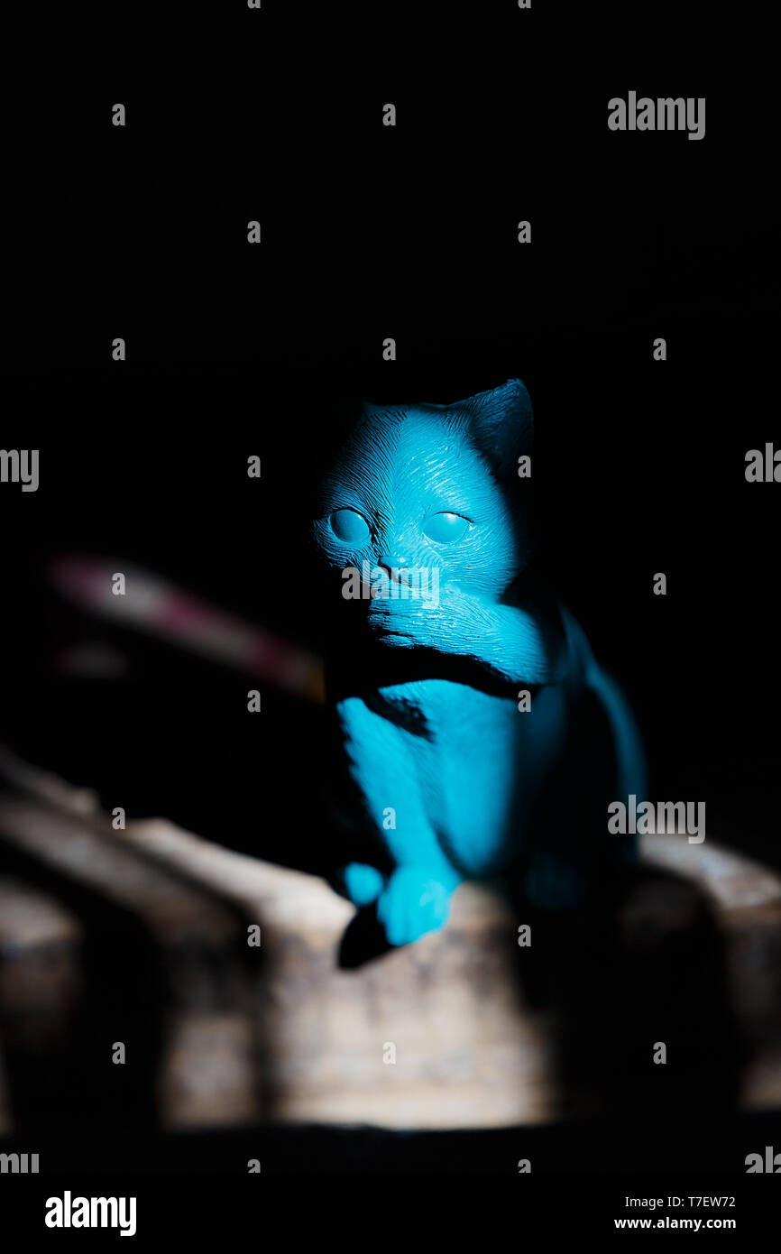 the mute cat in the shadow Stock Photo - Alamy