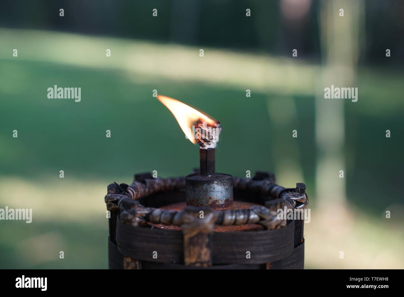 close up torch and fire in the garden with green blur background Stock ...