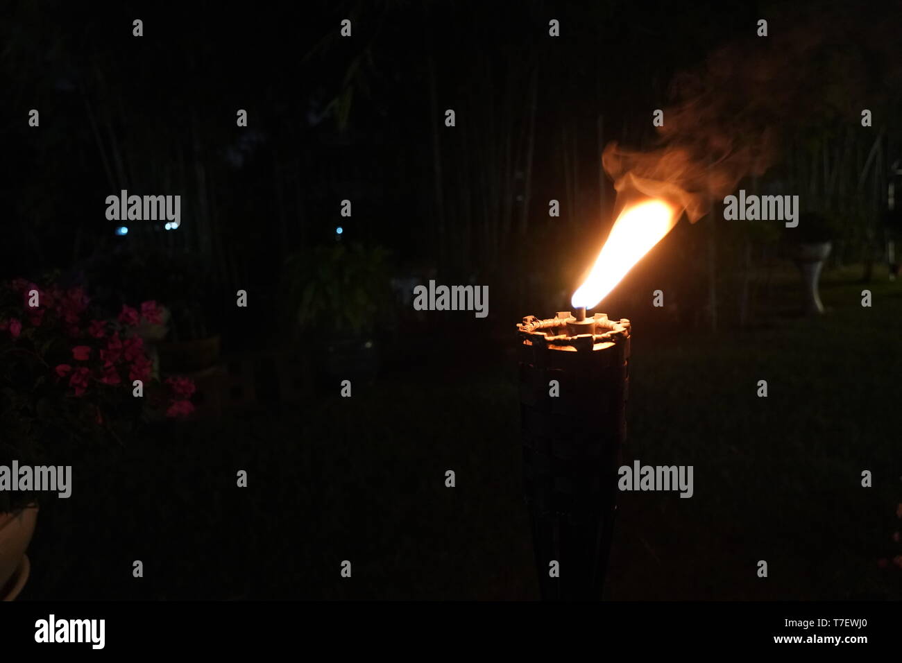 close up torch and fire in the night garden Stock Photo - Alamy