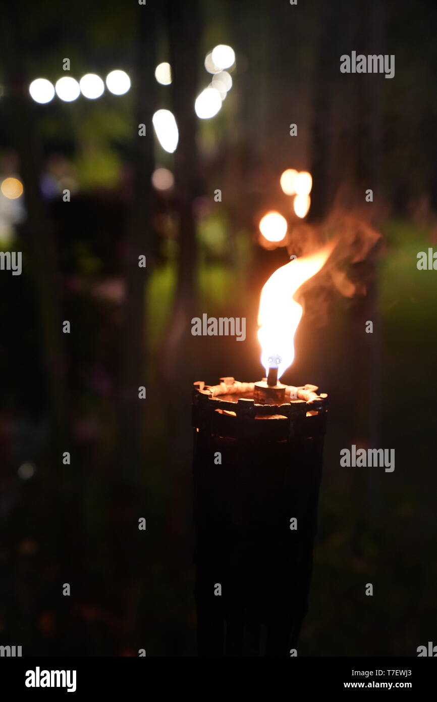 close up torch and fire in the night garden Stock Photo - Alamy