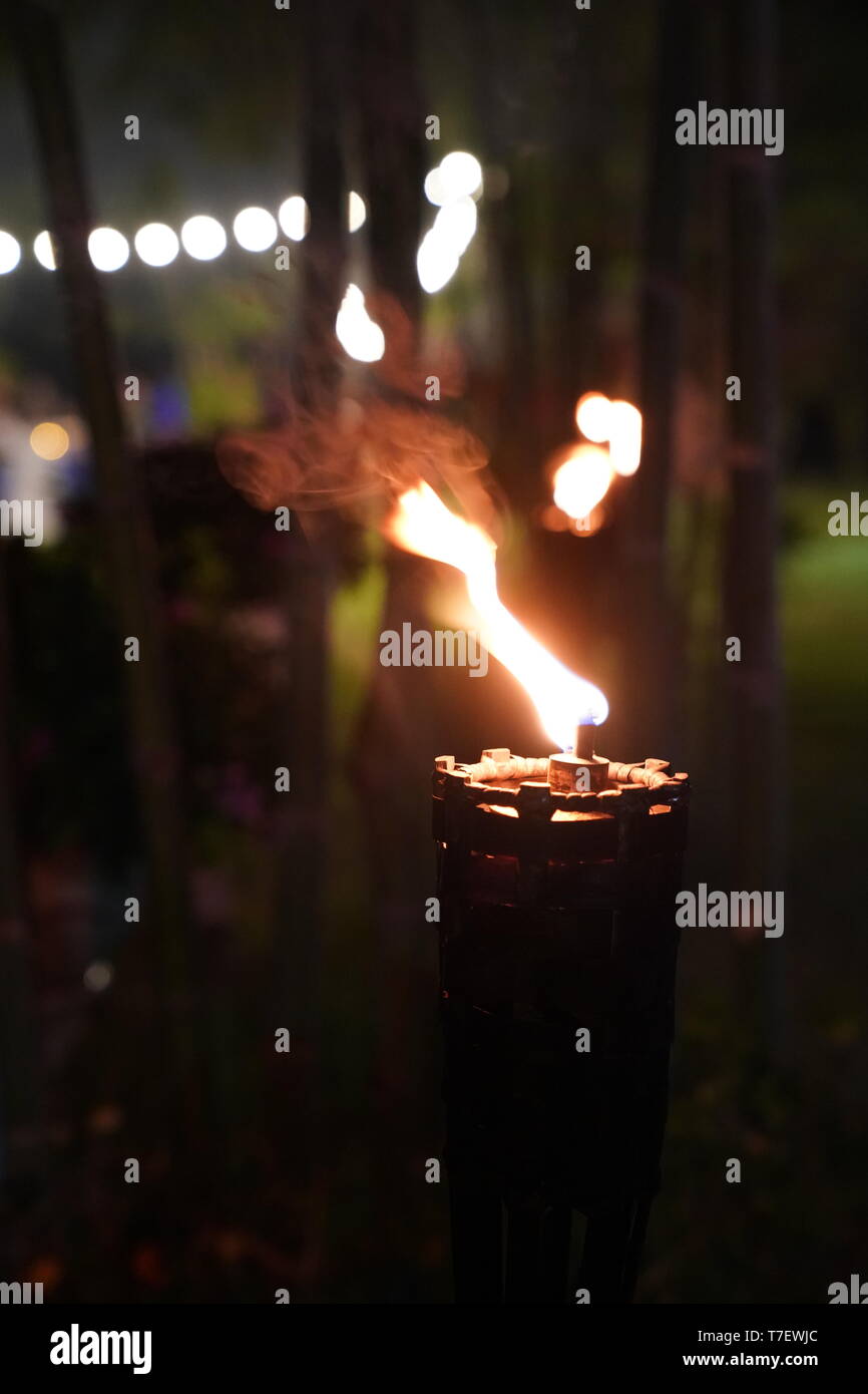close up torch and fire in the night garden Stock Photo - Alamy