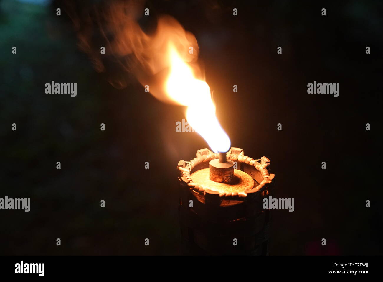 close up torch and fire in the night garden Stock Photo - Alamy