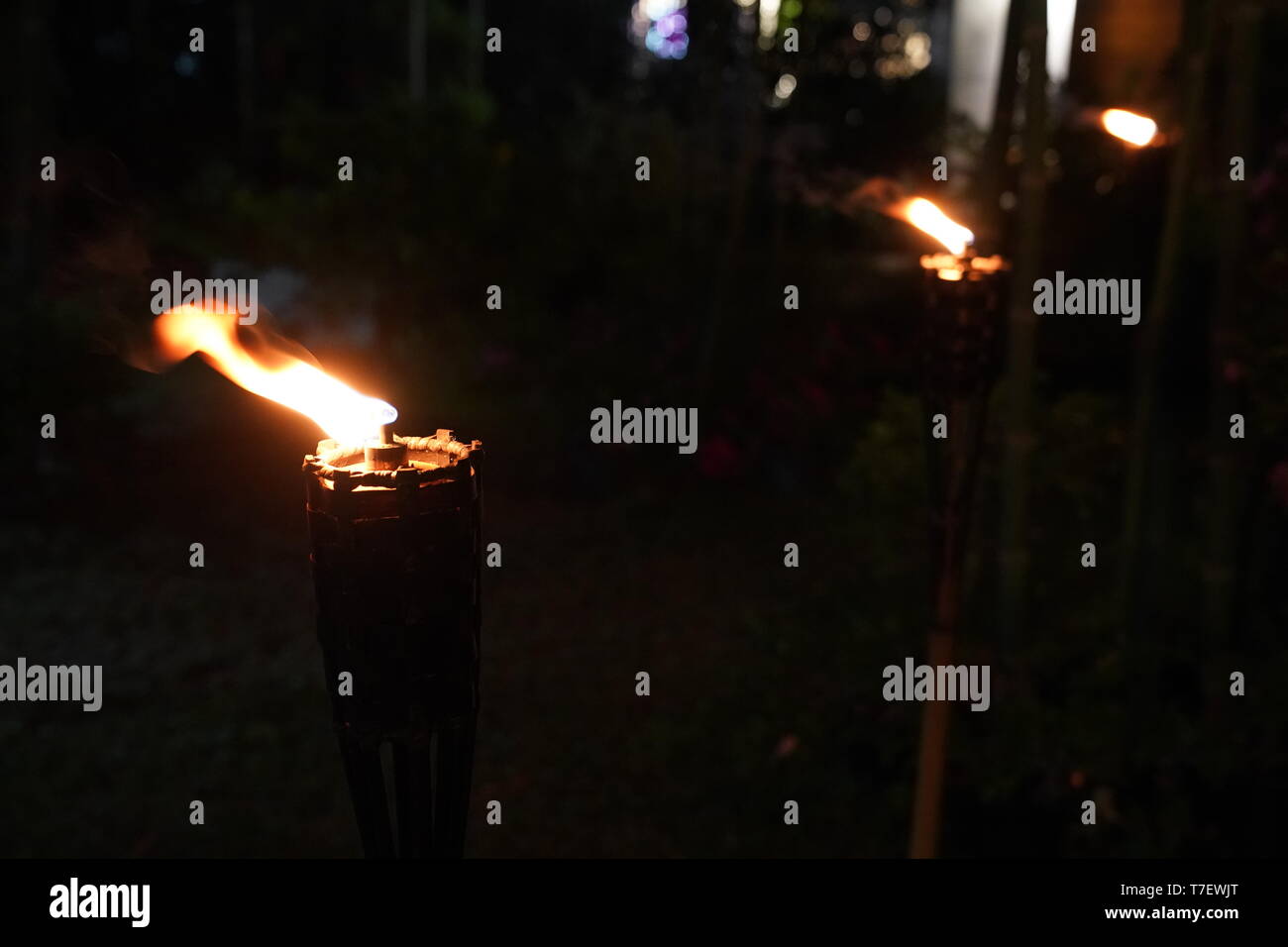close up torch and fire in the night garden Stock Photo - Alamy