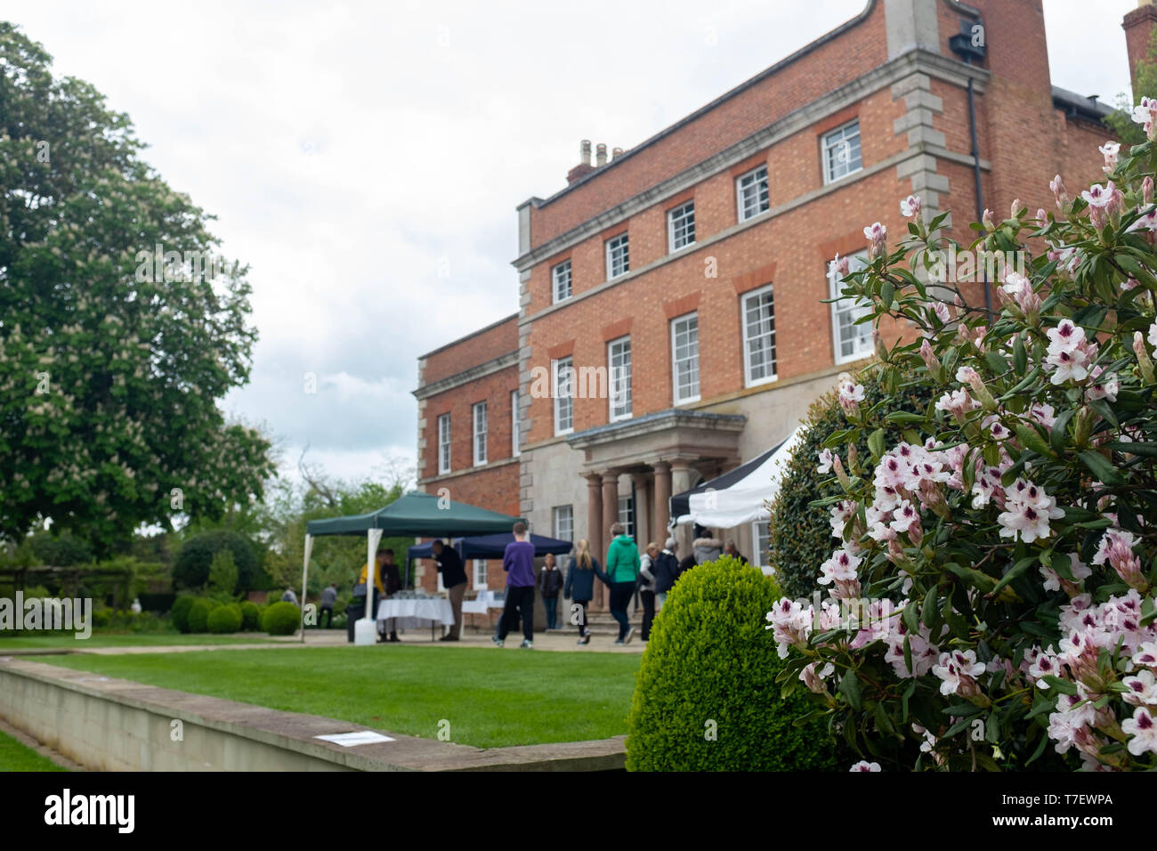 Morton hall tulips hi-res stock photography and images - Alamy