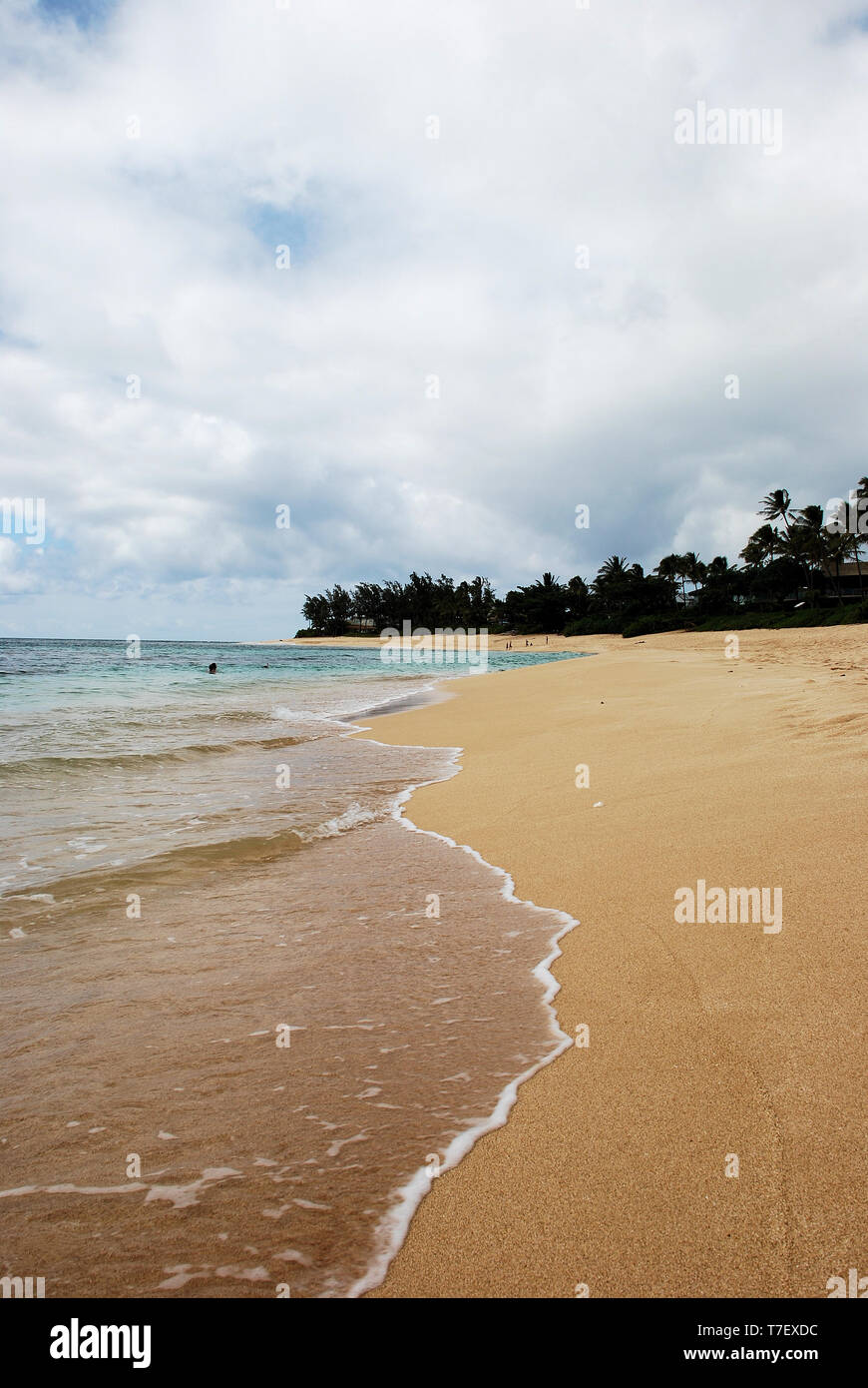 Sandy Beach Ocean Shore Clear Water Honolulu Oahu Hawaii High ...