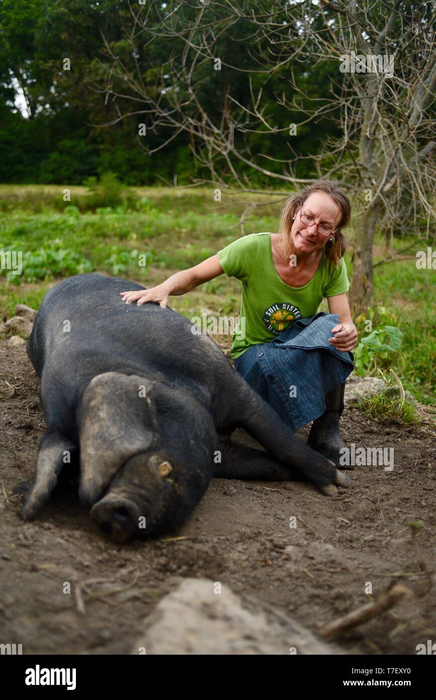 Skinny pig usa hi-res stock photography and images - Alamy