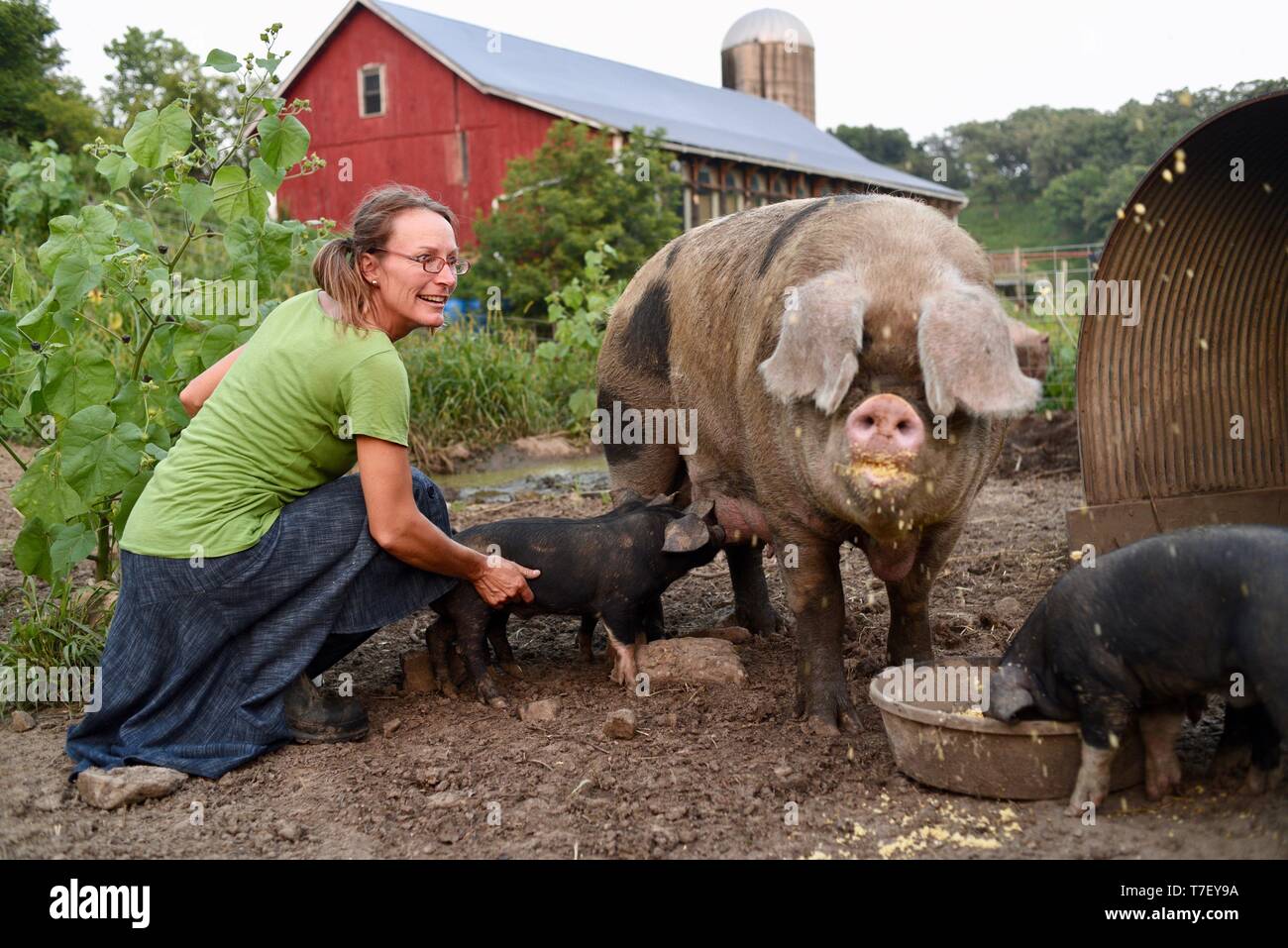 Woman farmer and catering chef on her working pig farm with ...