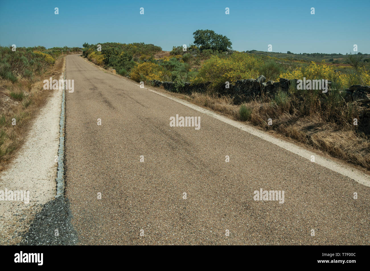 Clump former hi-res stock photography and images - Alamy