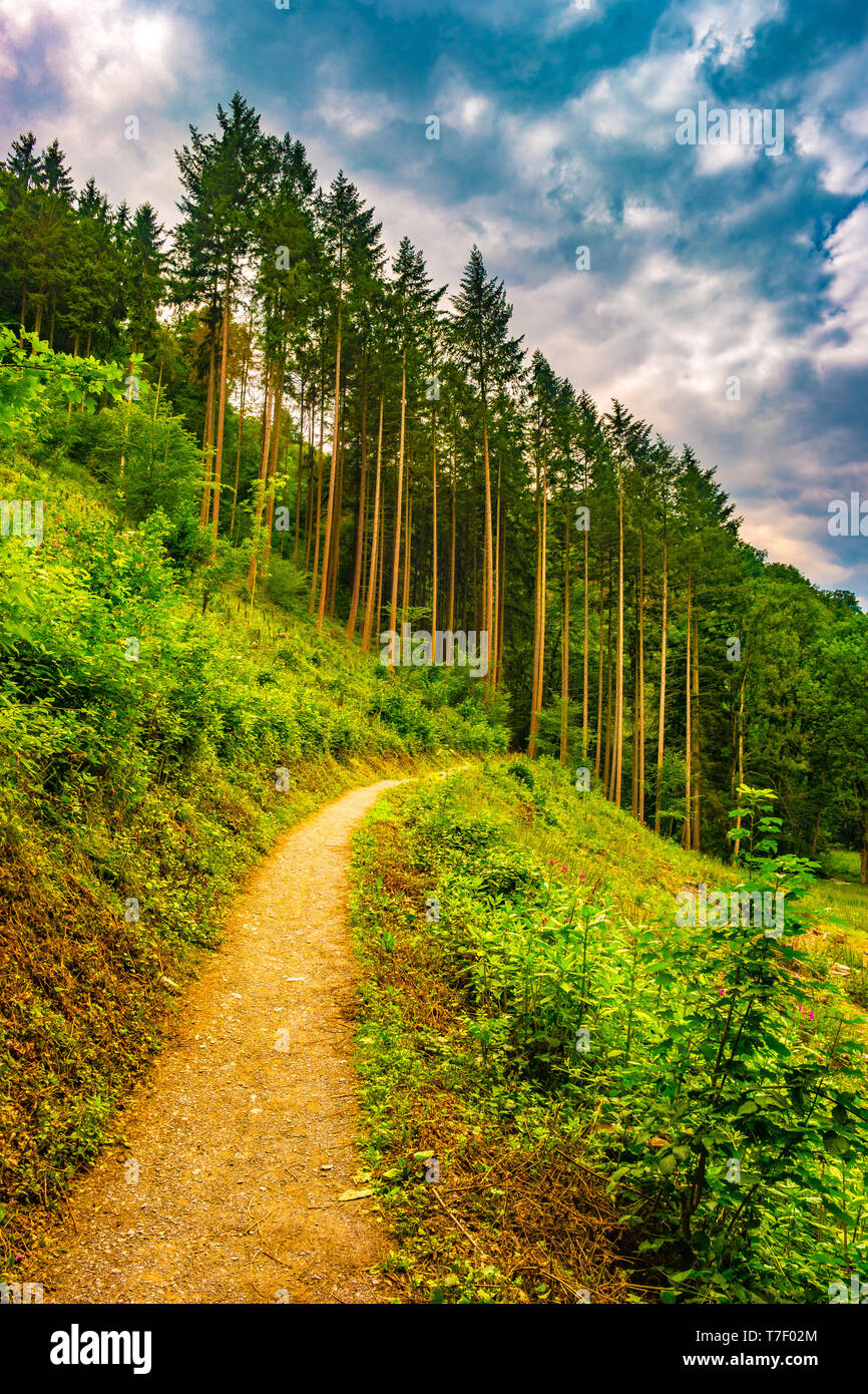 Beautiful landscape with pathway in the mountains forest at sunset ...