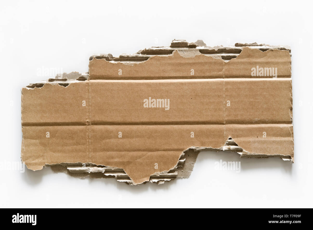 Piece of torn cardboard on white background Stock Photo - Alamy