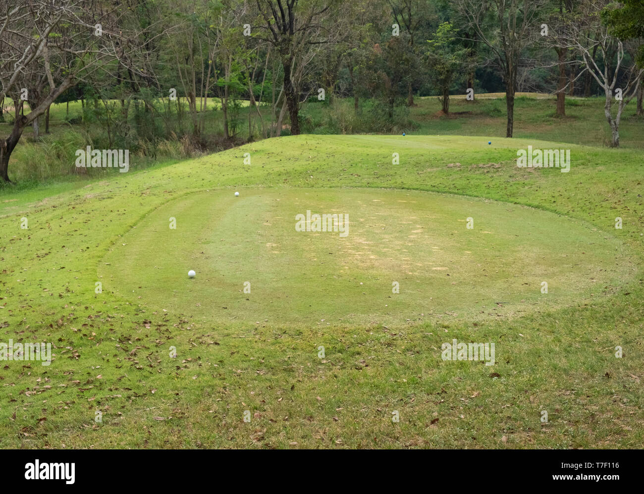 Golf course landscape Stock Photo - Alamy