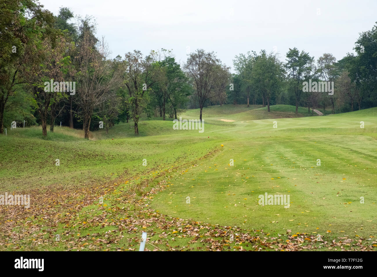 Golf course landscape Stock Photo - Alamy