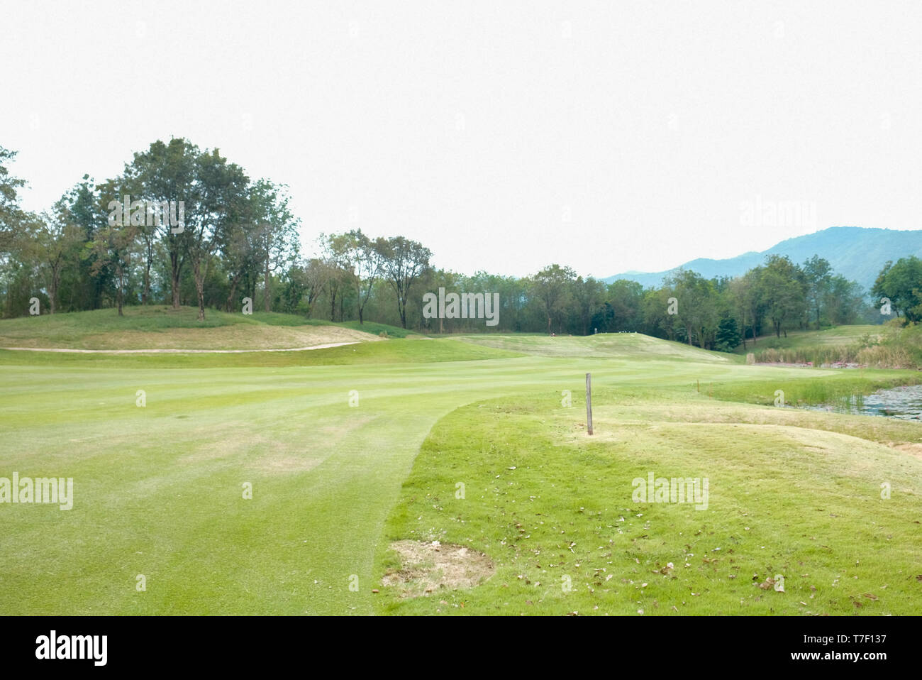 Golf course landscape Stock Photo - Alamy