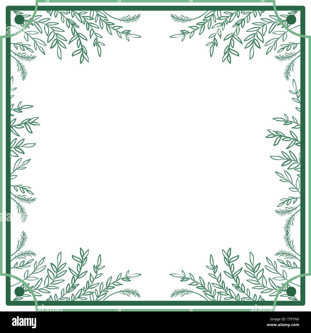 frame with foliage isolated icon Stock Vector Image & Art - Alamy