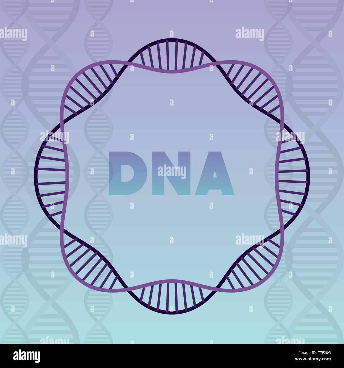 dna molecule circular structure Stock Vector Image & Art - Alamy