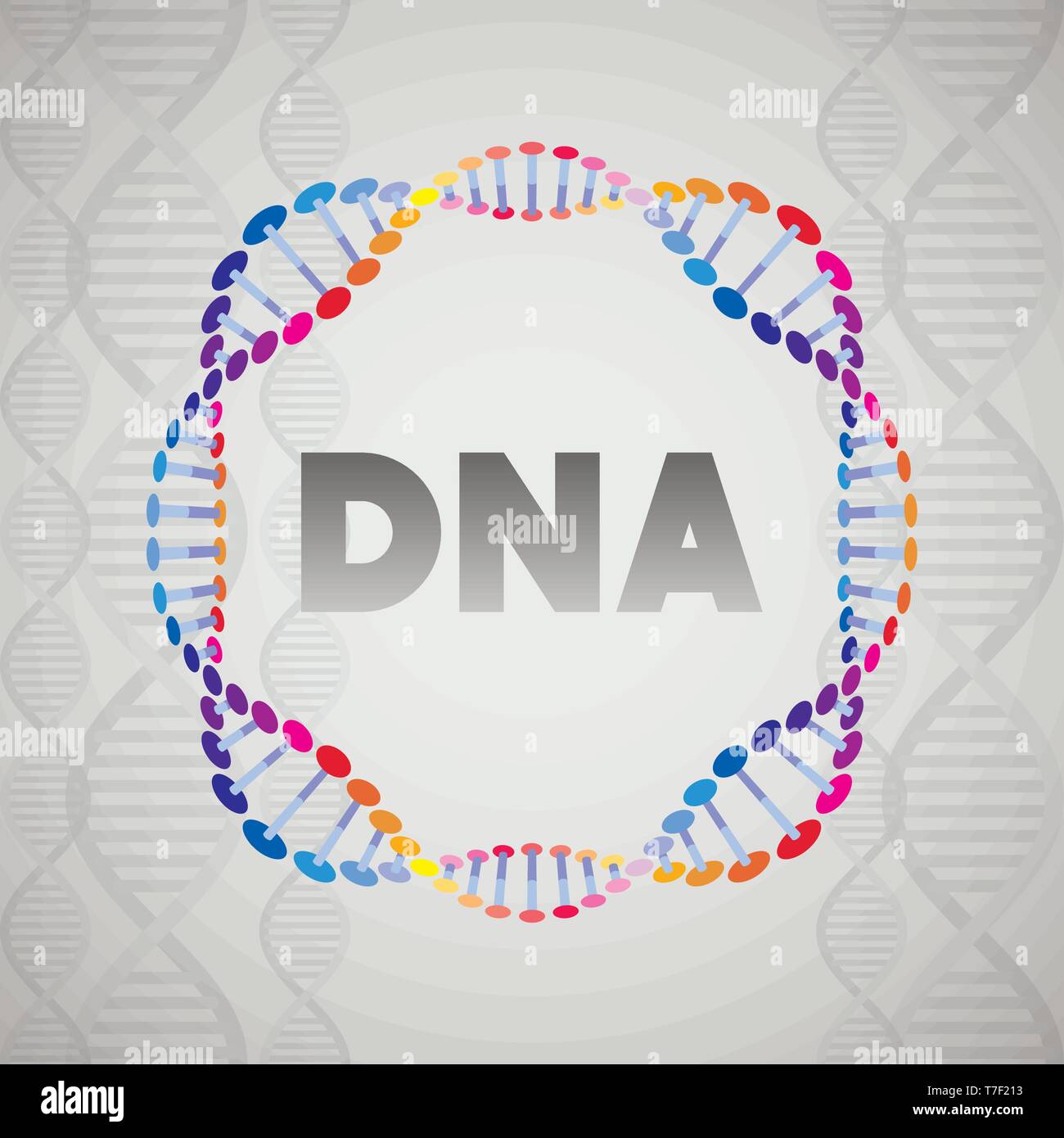 dna molecule circular structure Stock Vector Image & Art - Alamy
