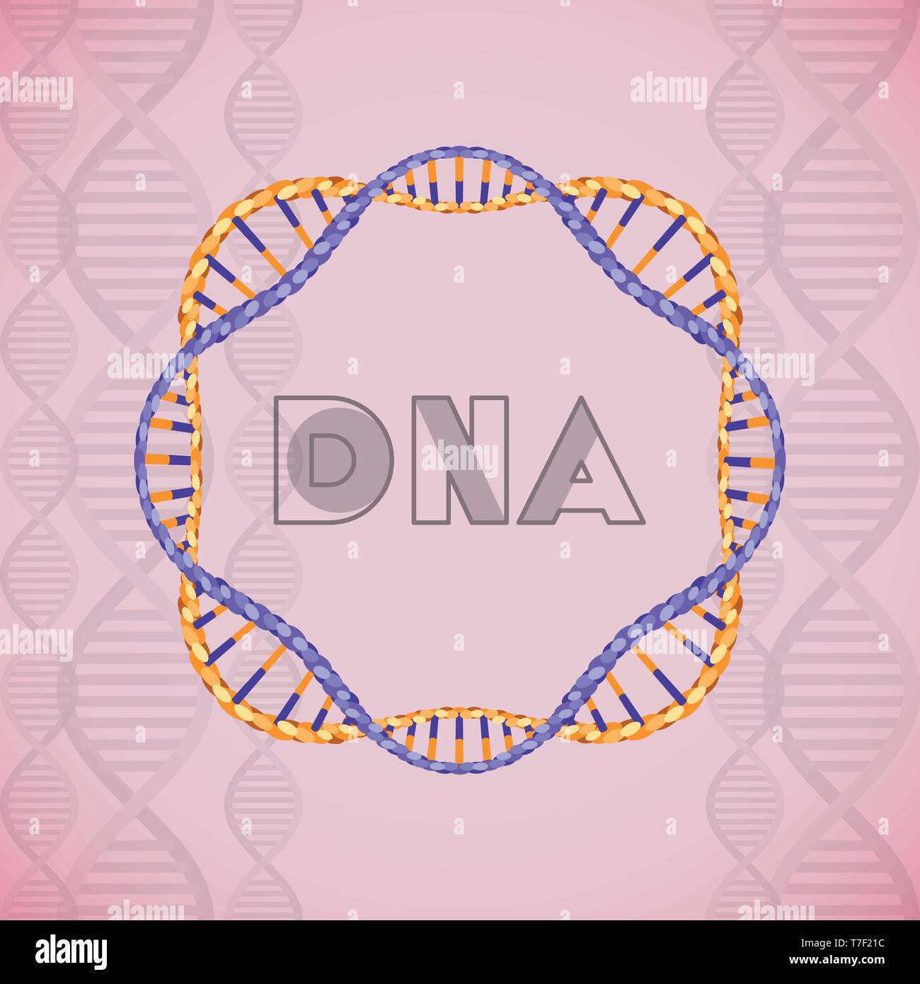 dna molecule circular structure Stock Vector Image & Art - Alamy