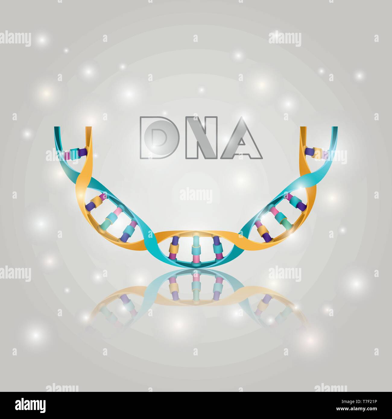 dna molecule half circle structure pattern Stock Vector Image & Art - Alamy